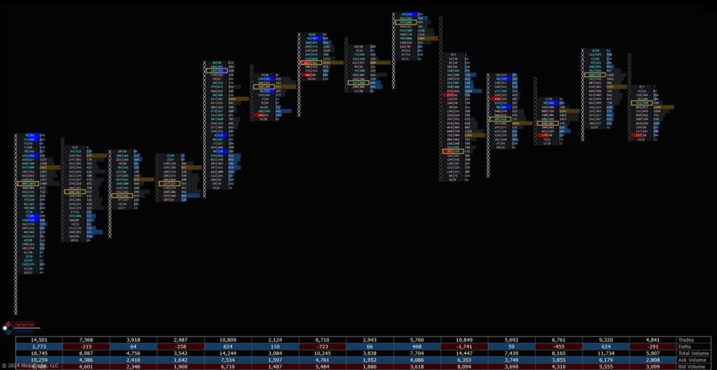 Footprint Chart Overview & Highlights - Trinitas Trading