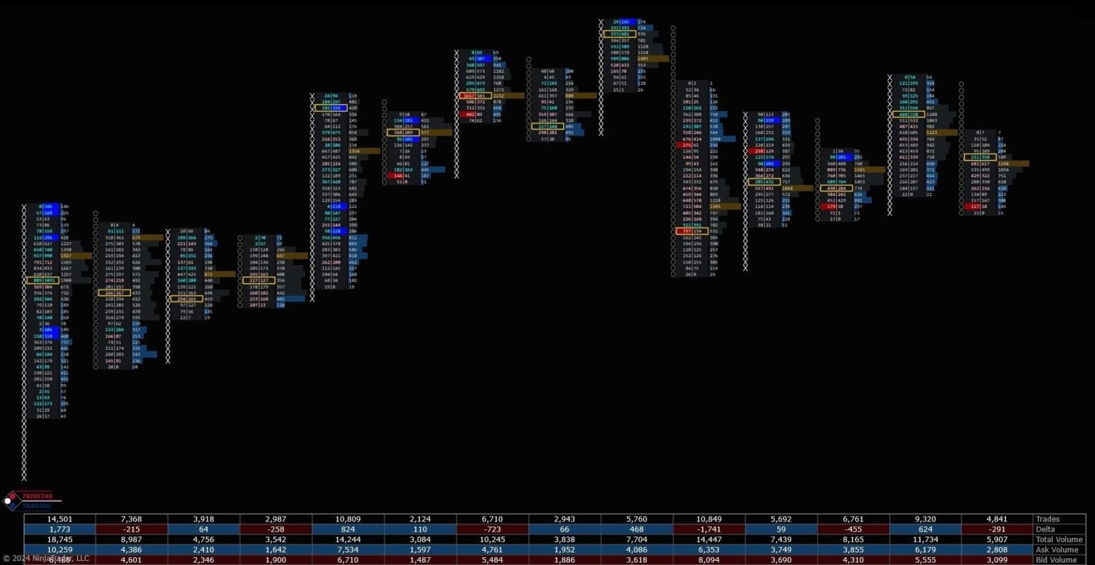 Footprint Chart Indicator User Guide - Trinitas Trading